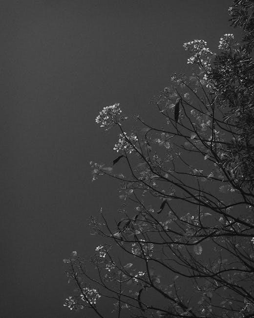 Schedule F Form 990 Instructions | Guide & Tips